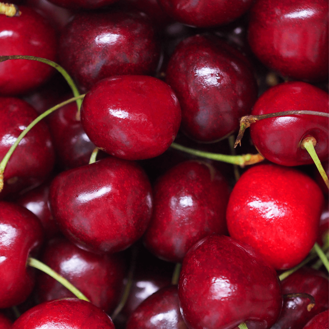 Prunus avium Giorgia, Češnja – Vrtnarski-center, spletna trgovina