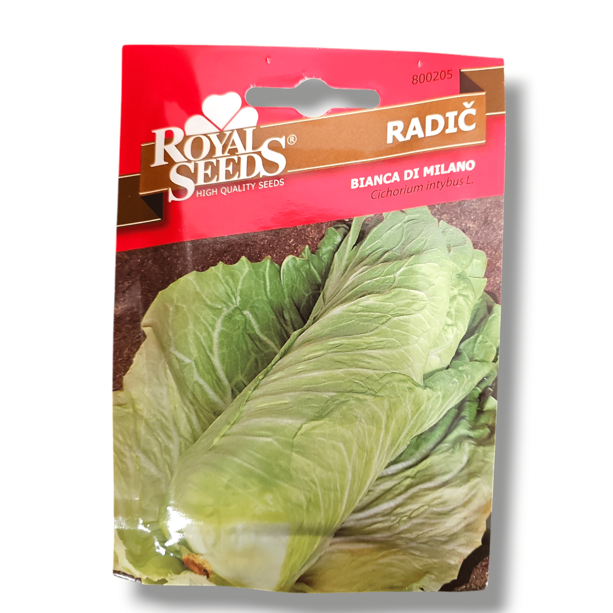 Radič Milansko beli Royal Seeds – Vrtnarski-center, spletna trgovina