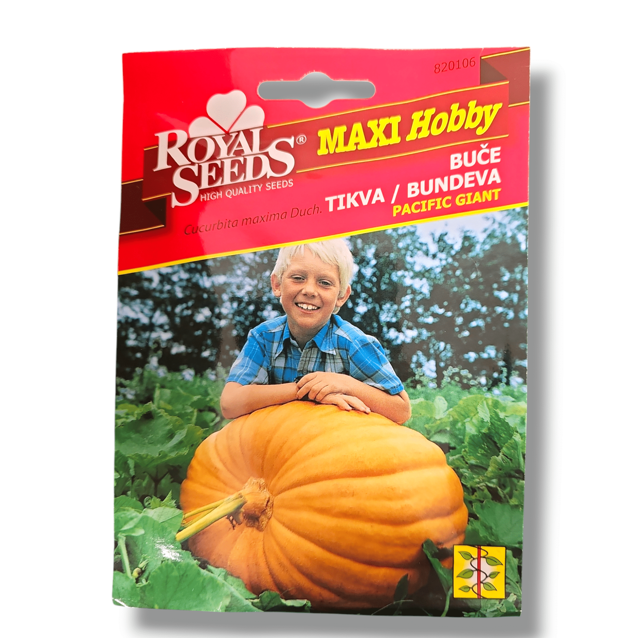 Buče Pacific Giant Royal Seeds – Vrtnarski-center, spletna trgovina