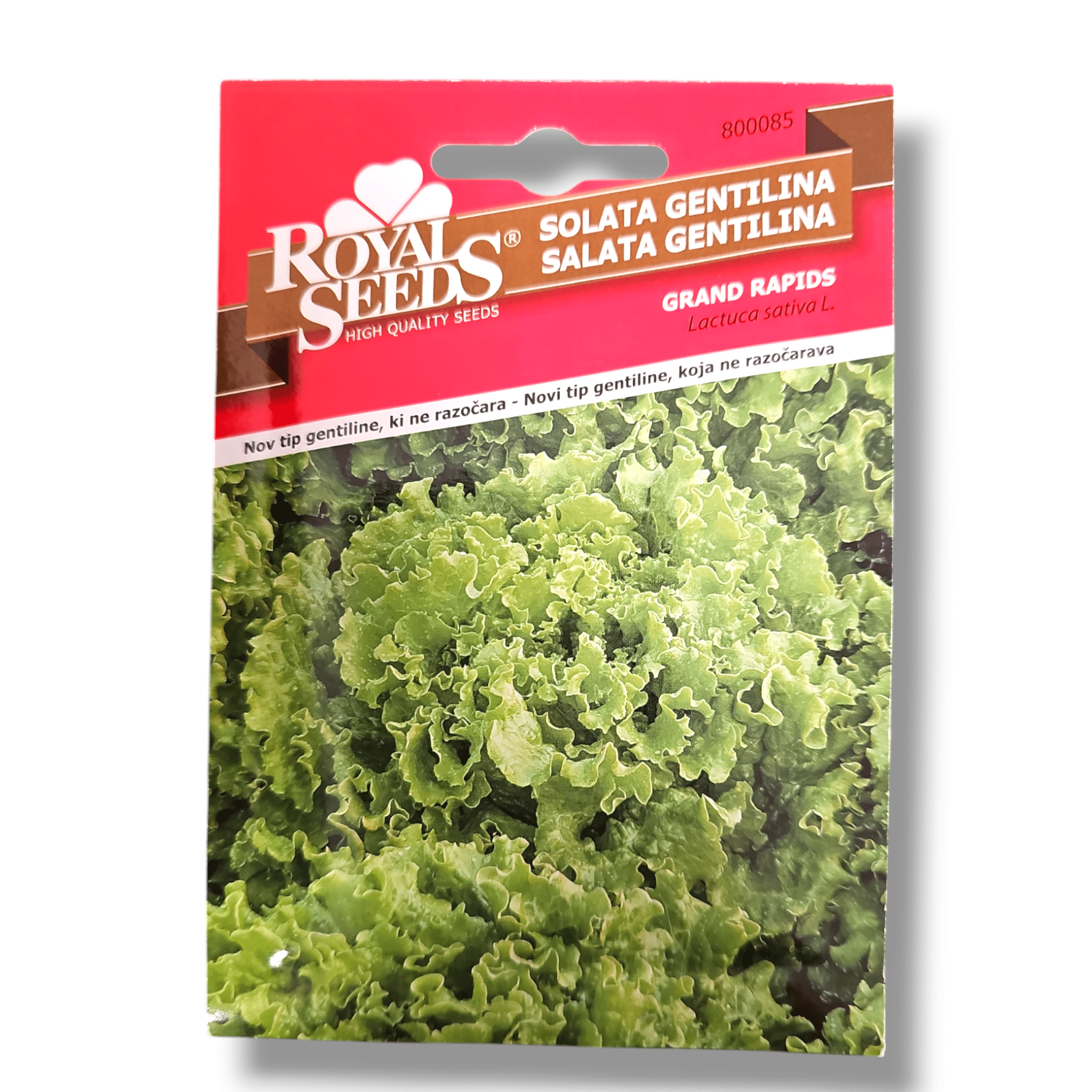 Solata Gentilina Grand Rapids Royal Seeds – Vrtnarski-center, spletna ...
