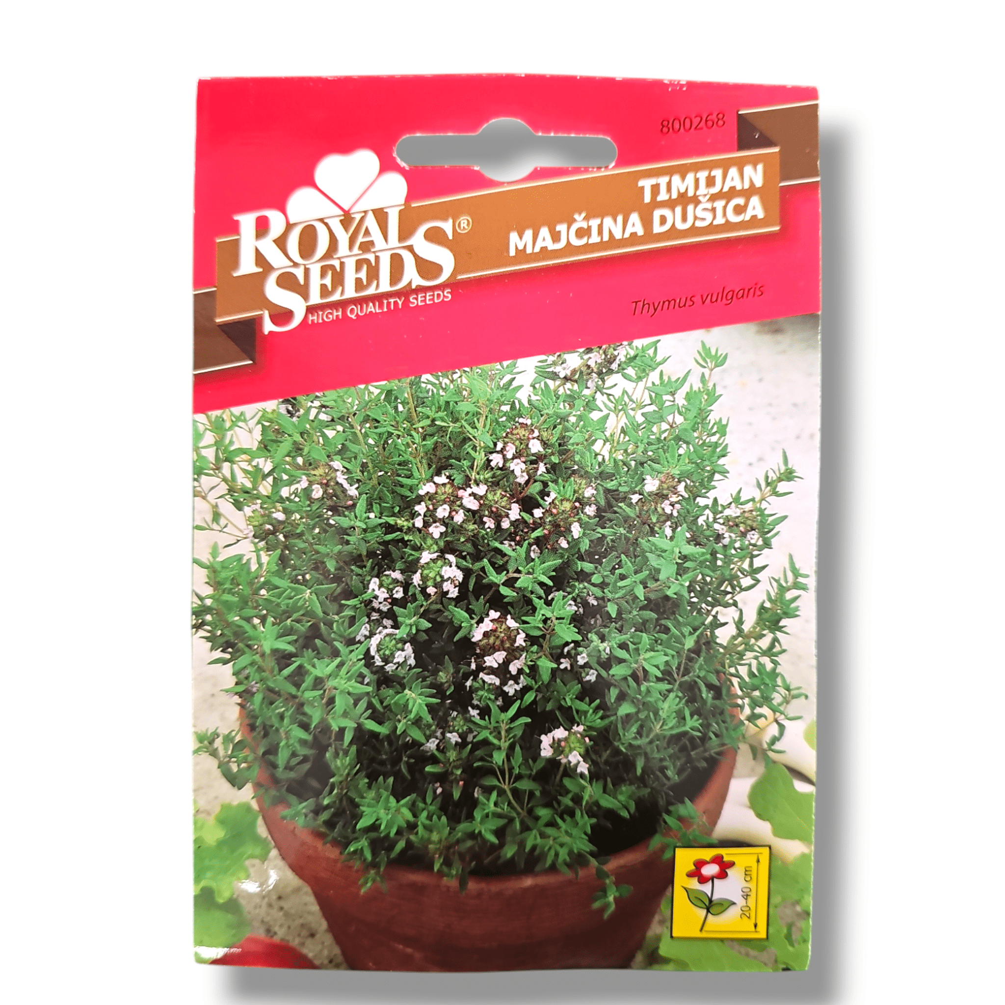 Timijan Majčina dušica Royal Seeds – Vrtnarski-center, spletna trgovina
