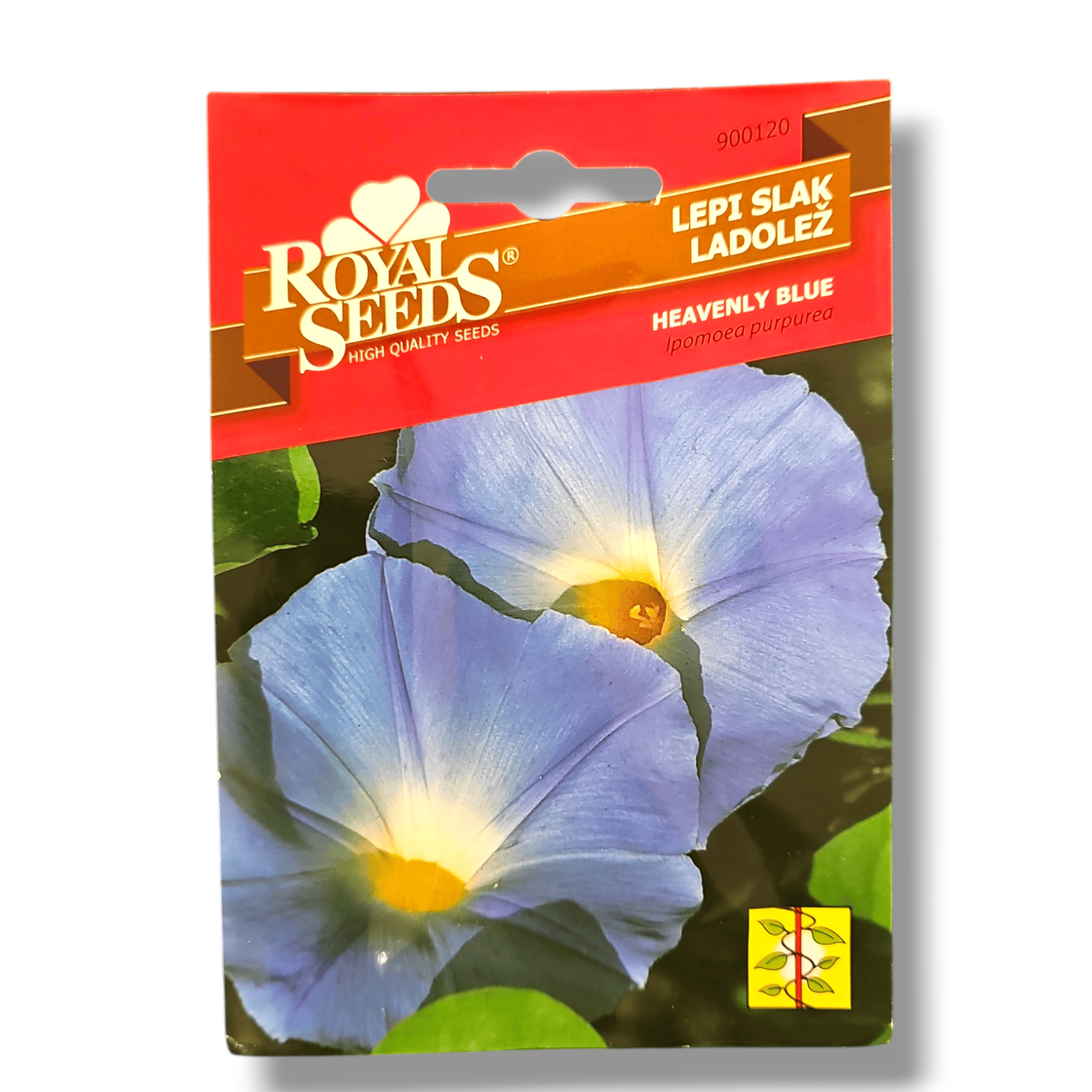 Lepi slak Heavenly blue Royal Seeds – Vrtnarski-center, spletna trgovina