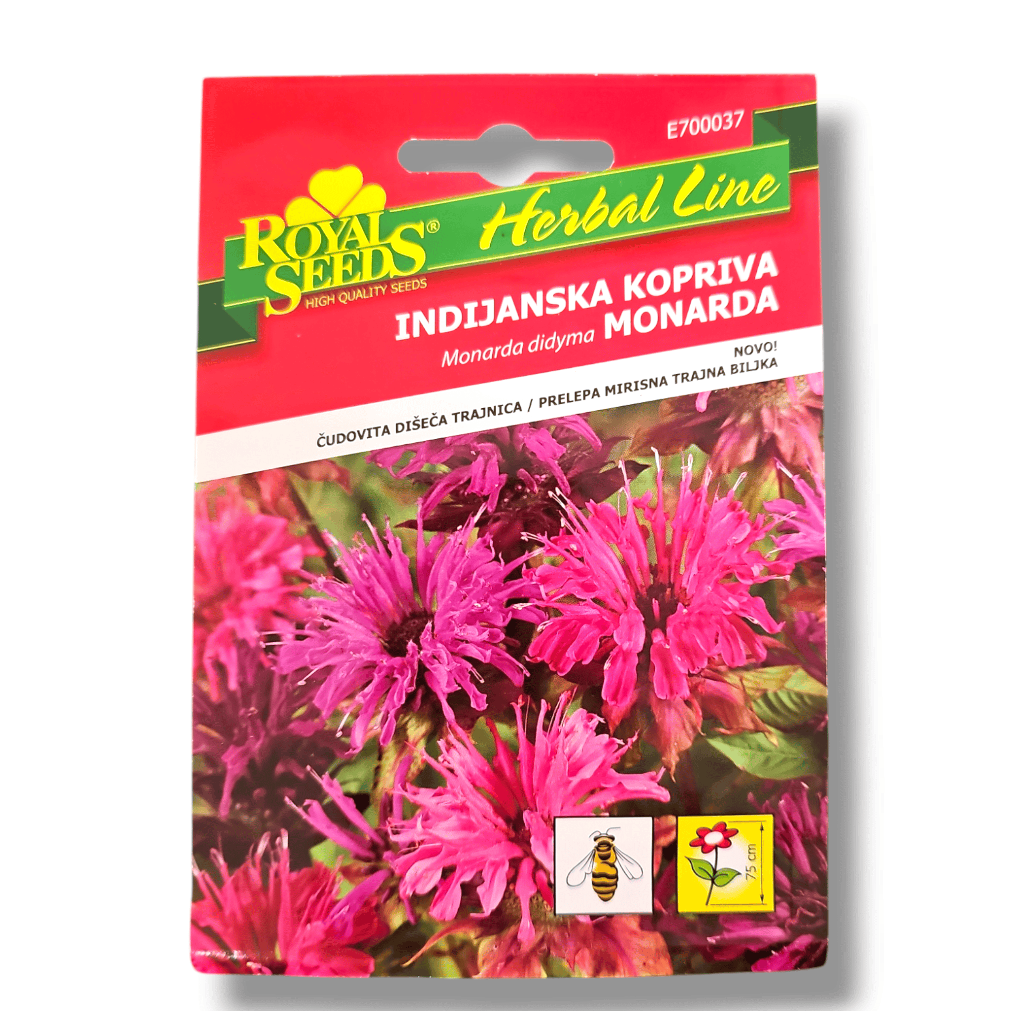 Indijanska kopriva Monarda Royal Seeds – Vrtnarski-center, spletna trgovina